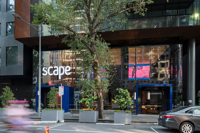 Scape Franklin | Ainsworth